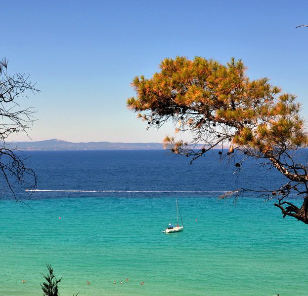 Δήμος Κασσάνδρας